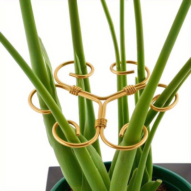 plant support - United Kingdom