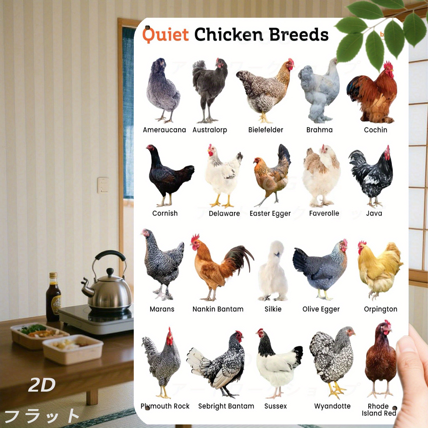 Hens Chicken Breed Identification Chart