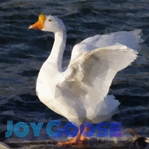 Joy Goose - Don't Miss These Great Deals - Great Offers at Temu