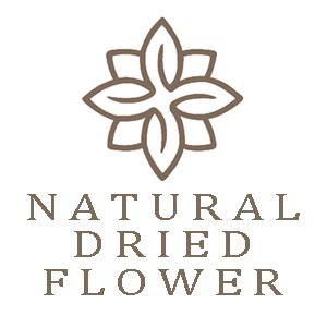 Natural Dried Flower - Latest Styles & Trends | Temu