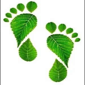 Si Teng Ye - 最新のスタイルとトレンド |テム