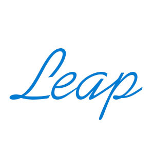 Leap Electronics - 迅速で安全なオンラインチェックアウト - Temu でのお得な特典